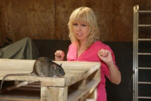 Why Are People Scared of Rats? (Musophobia)